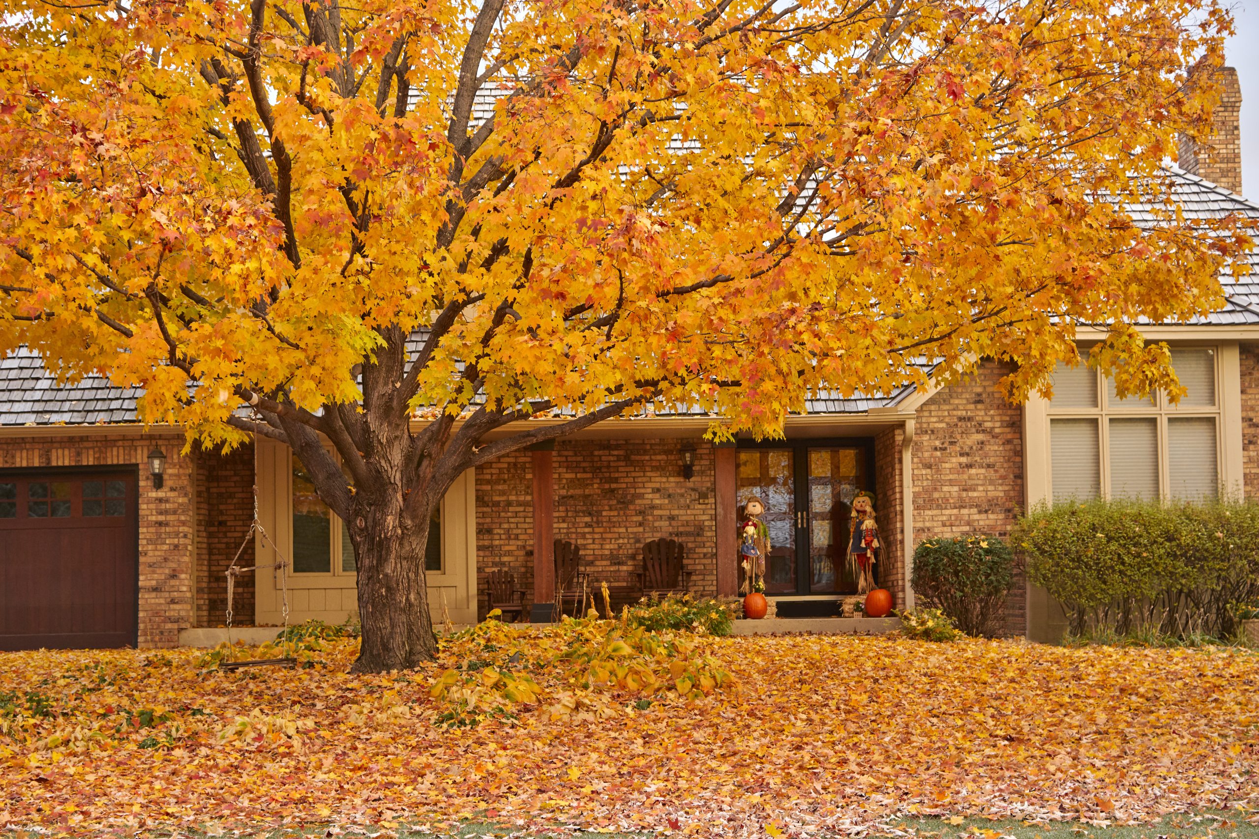 How Falling Leaves Can Impact Your Home - K&N Car and Home Insurance